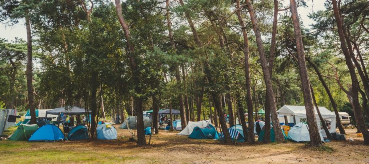 Jongerencamping Dennenoord