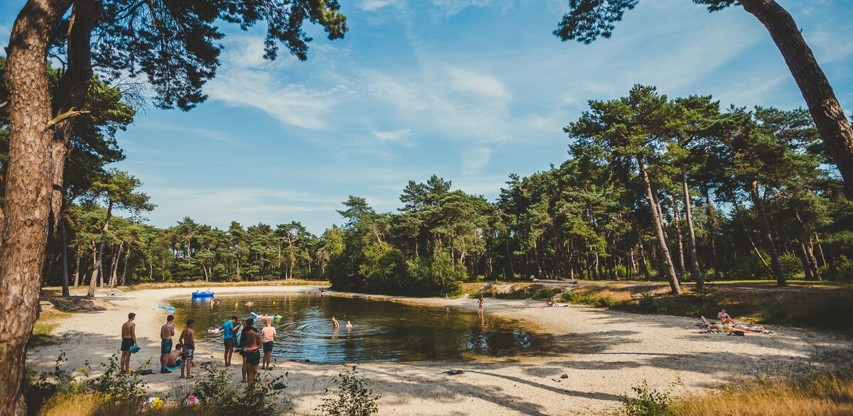 Jongerencamping Dennenoord